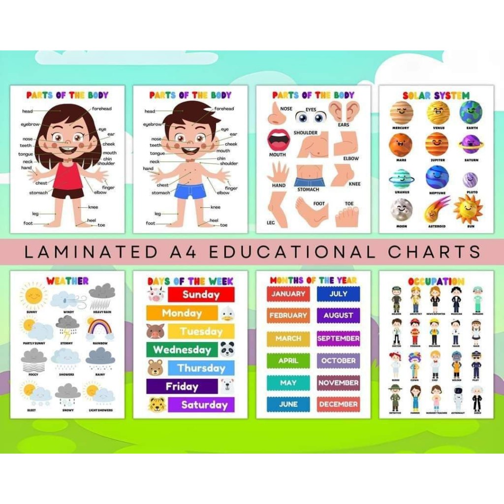 EDUCATIONAL Laminated A4 CHARTS for Child Learning Materials WALL CHART ...