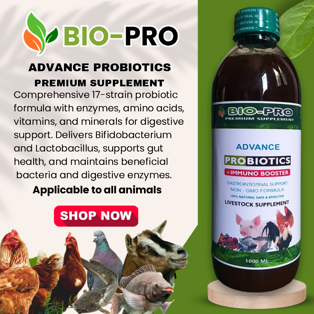 Biopro Probiotics for All Animals - Premium Immune Booster Supplement ...