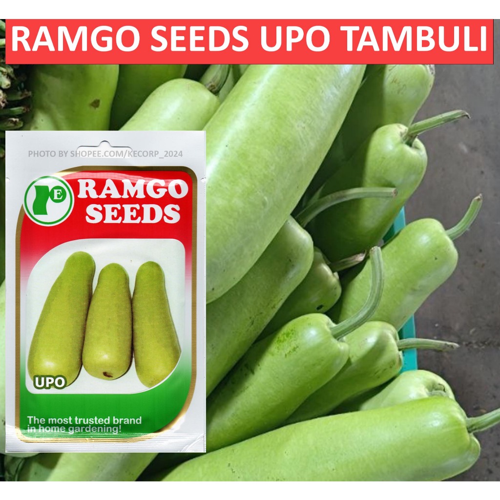 Ramgo RPO Seeds Upo Tambuli 3 grams_kc241207 | Shopee Philippines