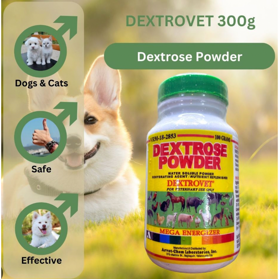 Dextrose Powder for Pets 300g | Shopee Philippines