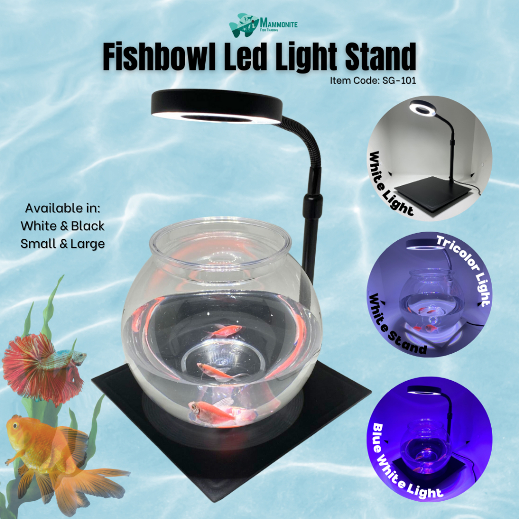 Fishbowl LED Light Stand White BlueWhite Tricolor LED / Black and White ...