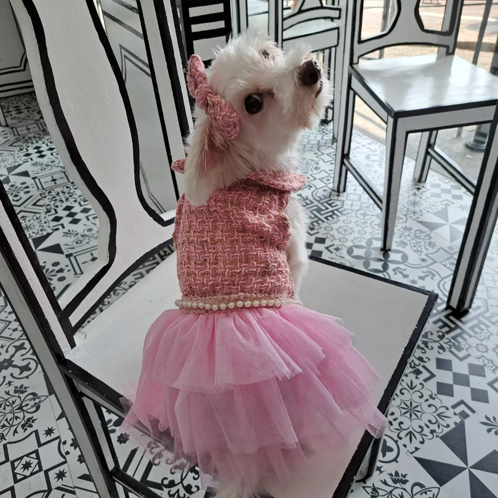 DRESS FOR DOG/ DRESS FOR PET/ DRESS FOR FEMALE DOG/ PET CLOTHING ...