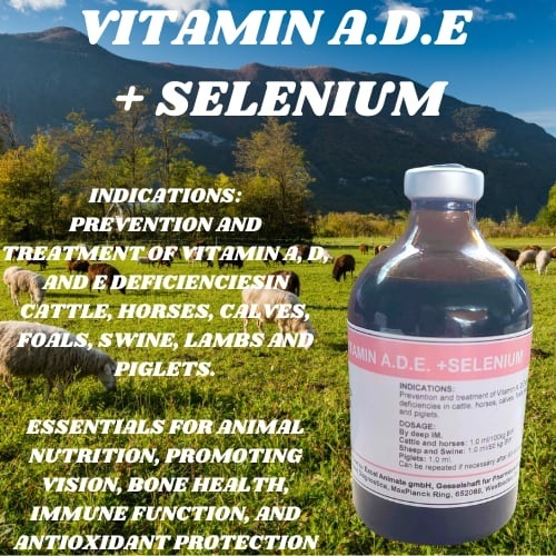 VITAMIN ADE +SELENIUM FOR ANIMALS with FREE SYRINGE | Shopee Philippines