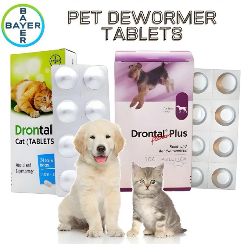 Drontal Plus Cat and Dog Dewormer Tablet 1pc Roundworms Hookworms ...