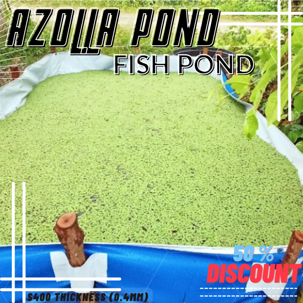 4X10X1Feet 1pc Azolla Pond/Fish Pond Homstar Brand All Purpose - LONG ...