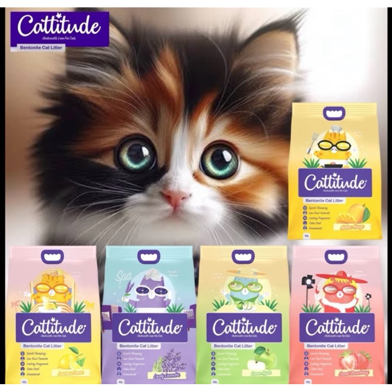 CATTITUDE 10L Cat Litterhi | Shopee Philippines