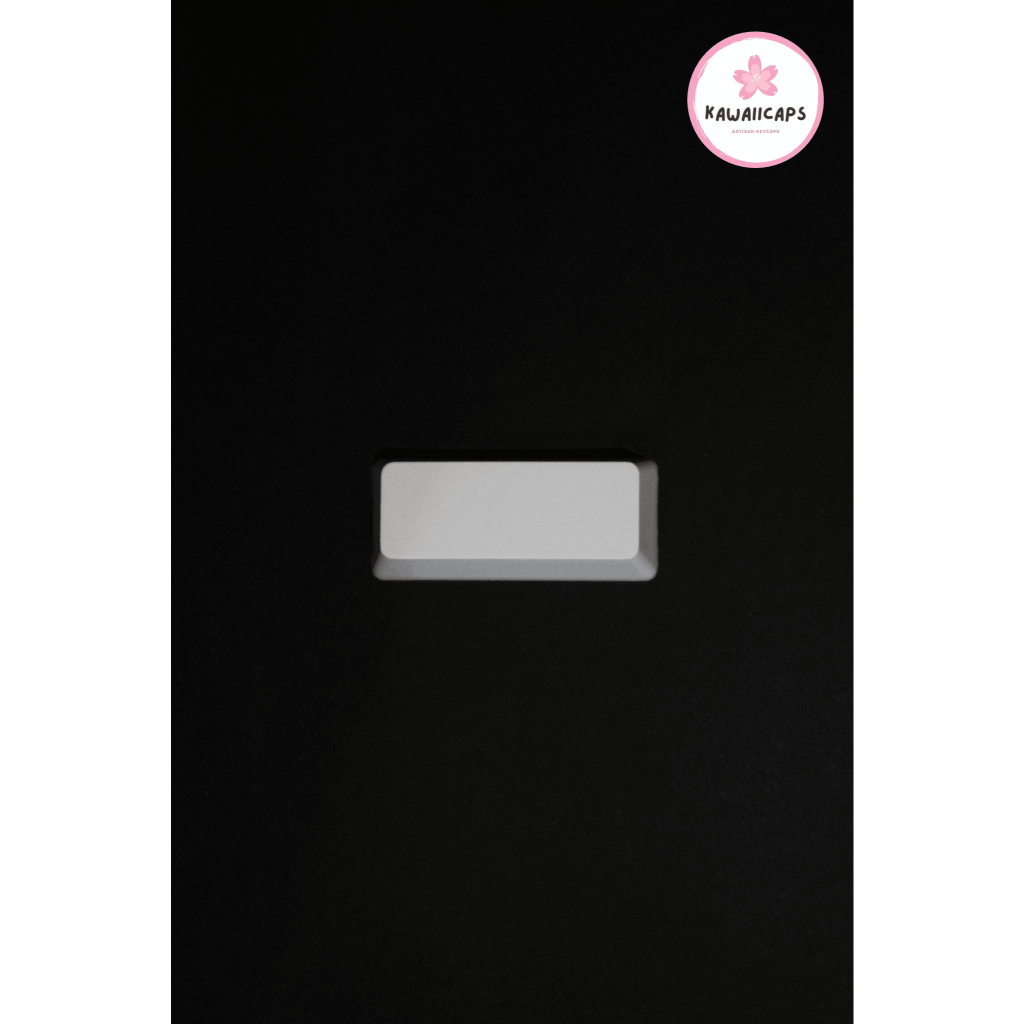 OEM White PBT Blank Keycaps for Mechanical Keyboards - R1/R2 2.25u ...