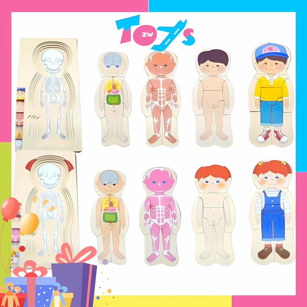 Gift Set Wooden Anatomical Human Body Puzzle Multilayer Learning Human ...