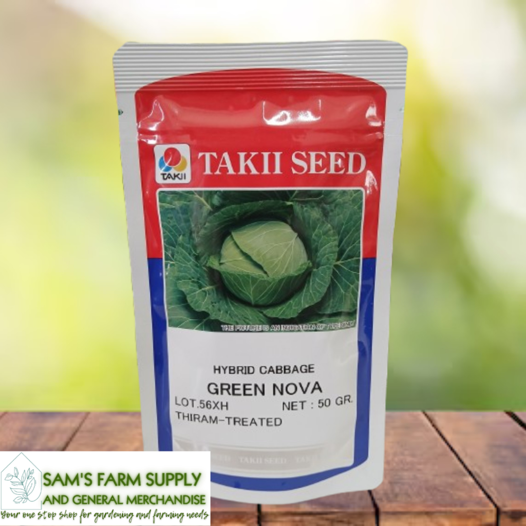 GREEN NOVA HYBRID CABBAGE SEEDS 50 GRAMS | Shopee Philippines