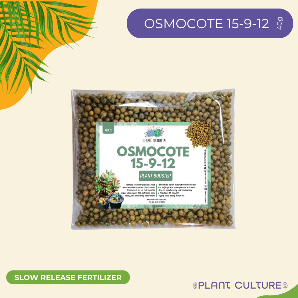 Osmocote Plus 15-9-12 40g Best for Cactus, Succulents, Ornamental ...