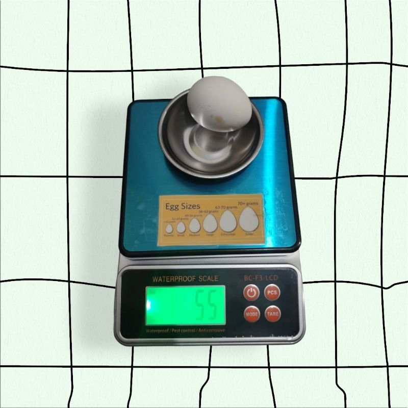 EGG scale digital scale with kitchen scale dual function rechargeable ...