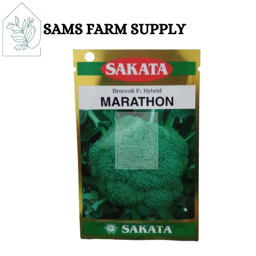 Sakata Seeds- Hybrid Broccoli F1 (Marathon) | Shopee Philippines