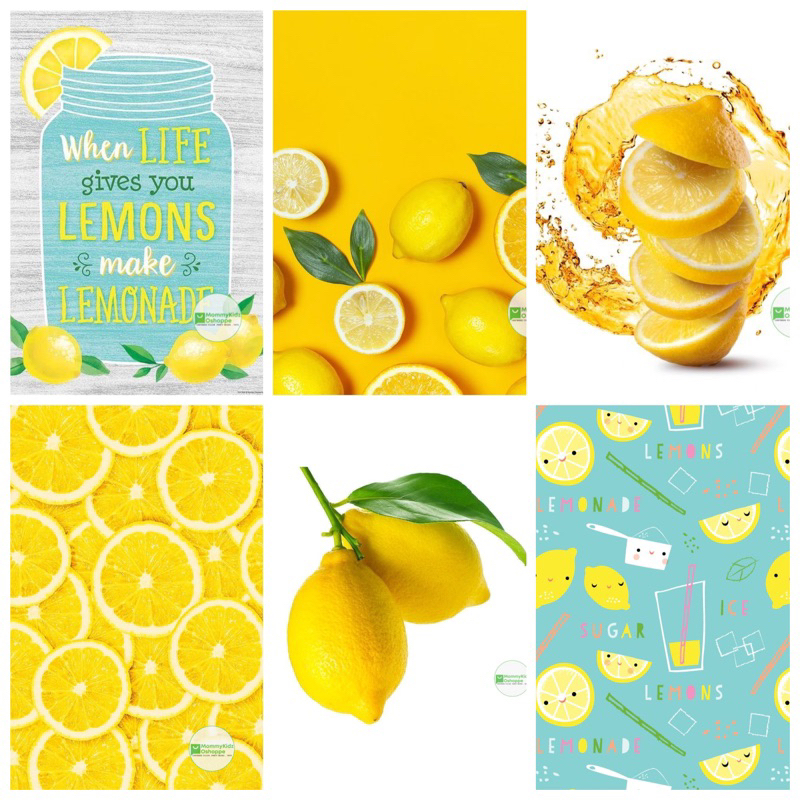 LEMON theme wall decor design A4 SIZE LAMINATED | Shopee Philippines