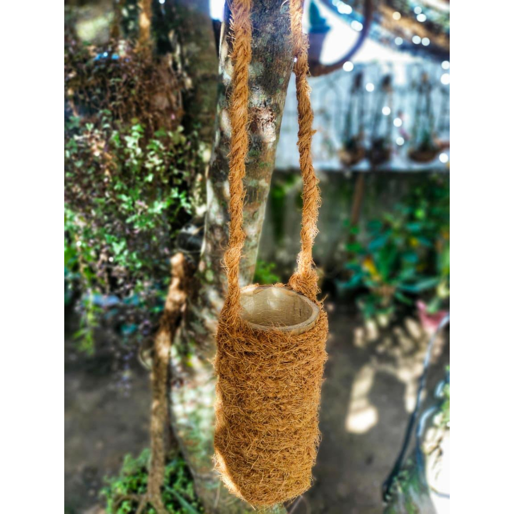 coco bamboo Hanging Planters 1 pc per pack best for plants with organic ...