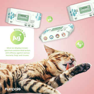 Petcore Natural Grooming Wipes Bundle Eye Wipes Dental Wipes Pet Wipes ...