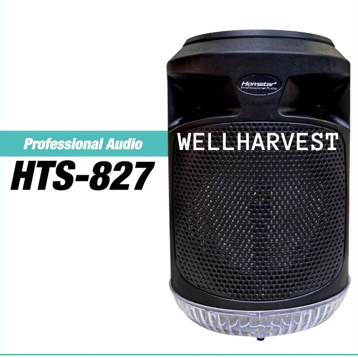 Portable Bluetooth Speaker Subwoofer Karaoke Radio 8inches Speaker HTS ...