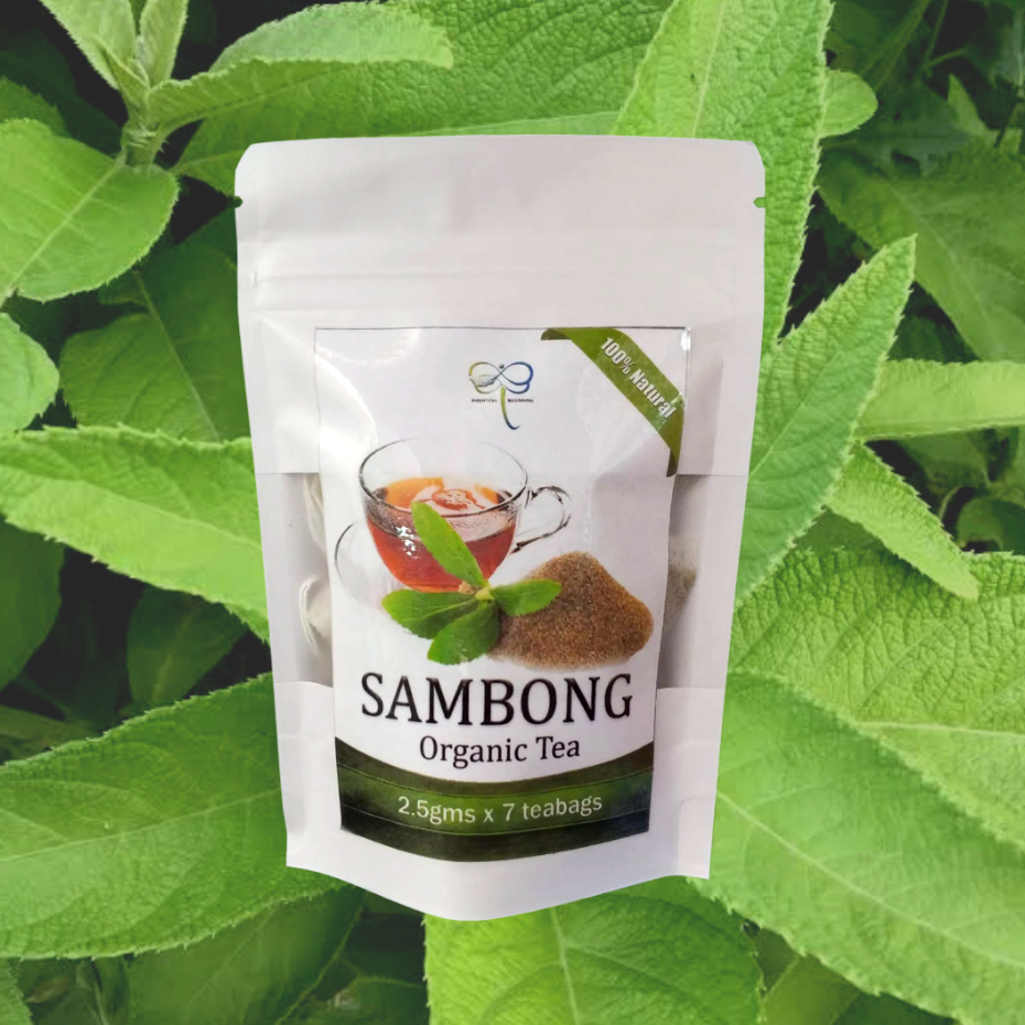 SAMBONG HERBAL TEA (2.5g x 7 Tea bags) | Shopee Philippines