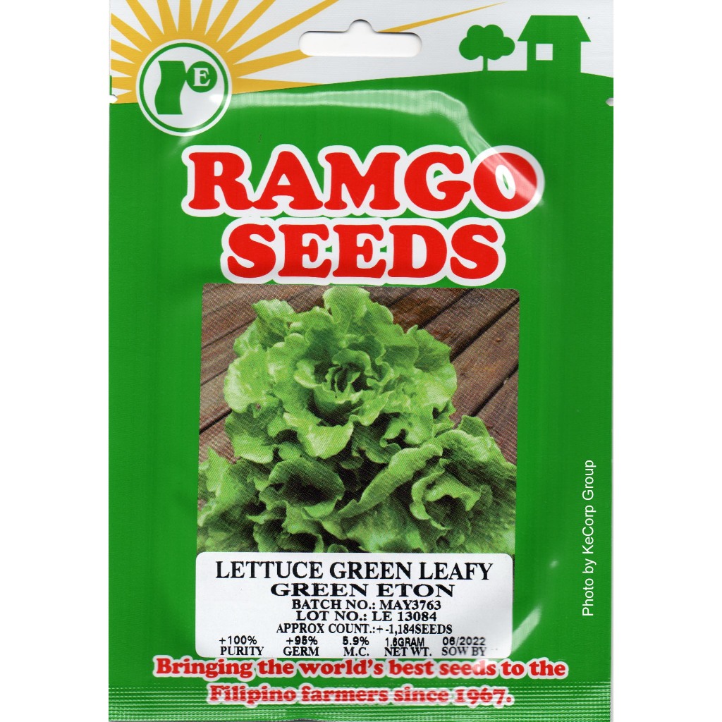 Ramgo RPD LETTUCE ROMAINE COS LYON Seeds 1.5gram KECORP_S1 | Shopee ...