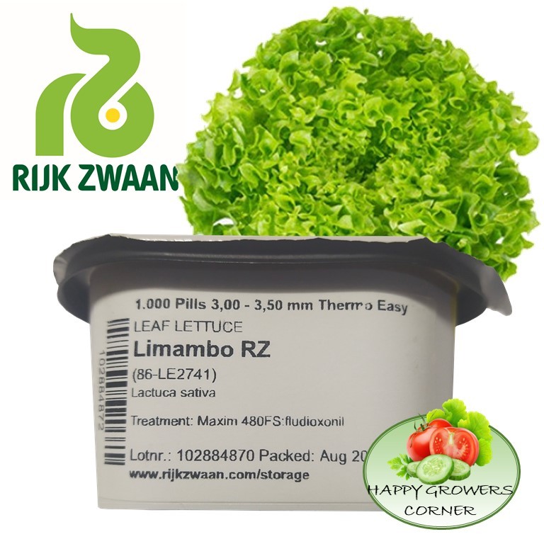 Limambo RZ Lollo Bionda Lettuce by RIJK ZWAAN (1,000 pills /Original ...
