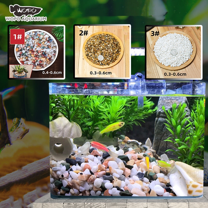 Colorful Rocks Selected White Pebbles Stones Natural stone Aquarium ...