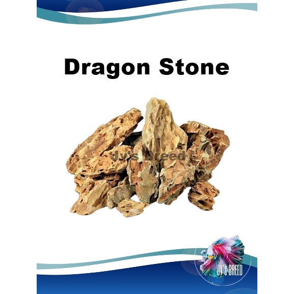 Pebbles Sand Stone Aquarium Decoration AquaScaping PER KILO | Shopee ...