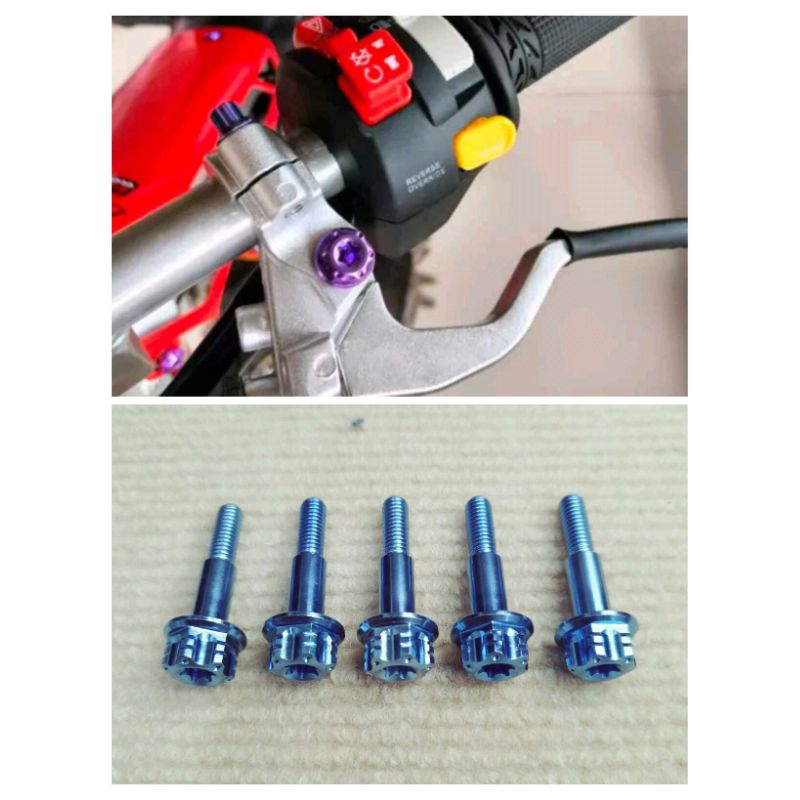 Titanium Gr5 Lever Bolt Bighead Universal (1pc) | Shopee Philippines