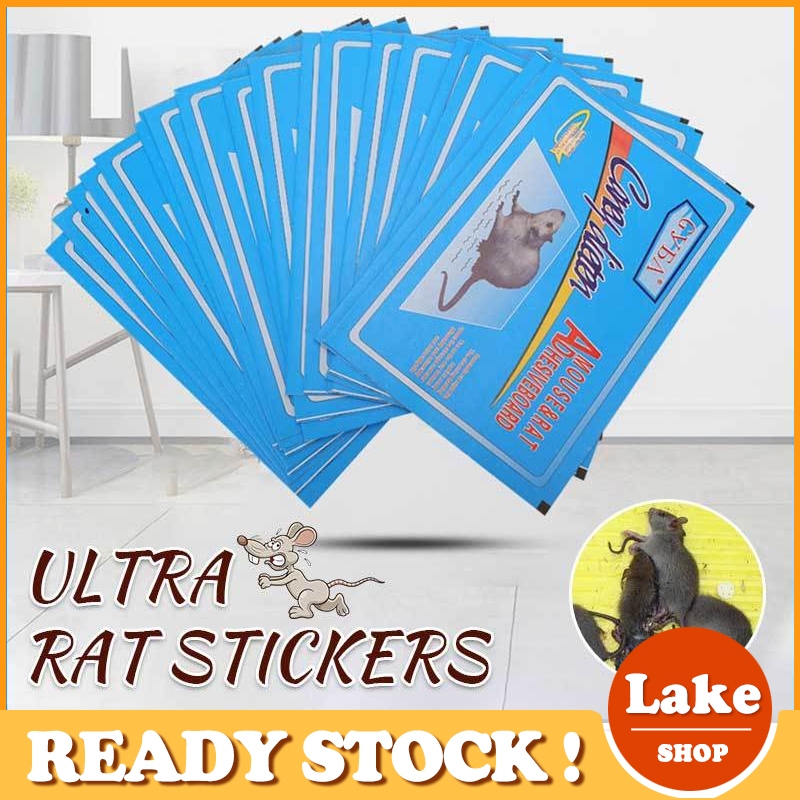 Stronger Adhesion Mouse Sticky Mice Rodent Glue Board Bait Trap Super ...