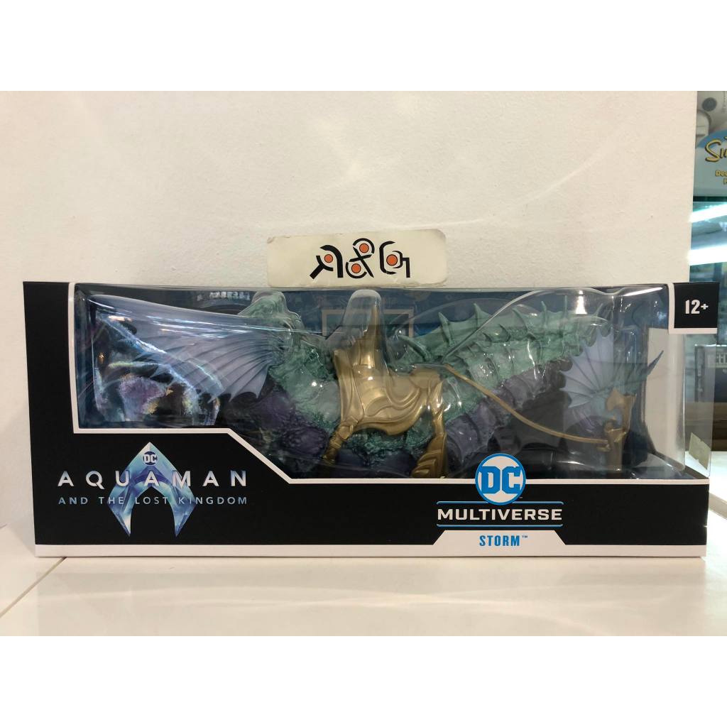 Mcfarlane Toys Aquaman and the Lost Kingdom DC Multiverse Storm Action ...