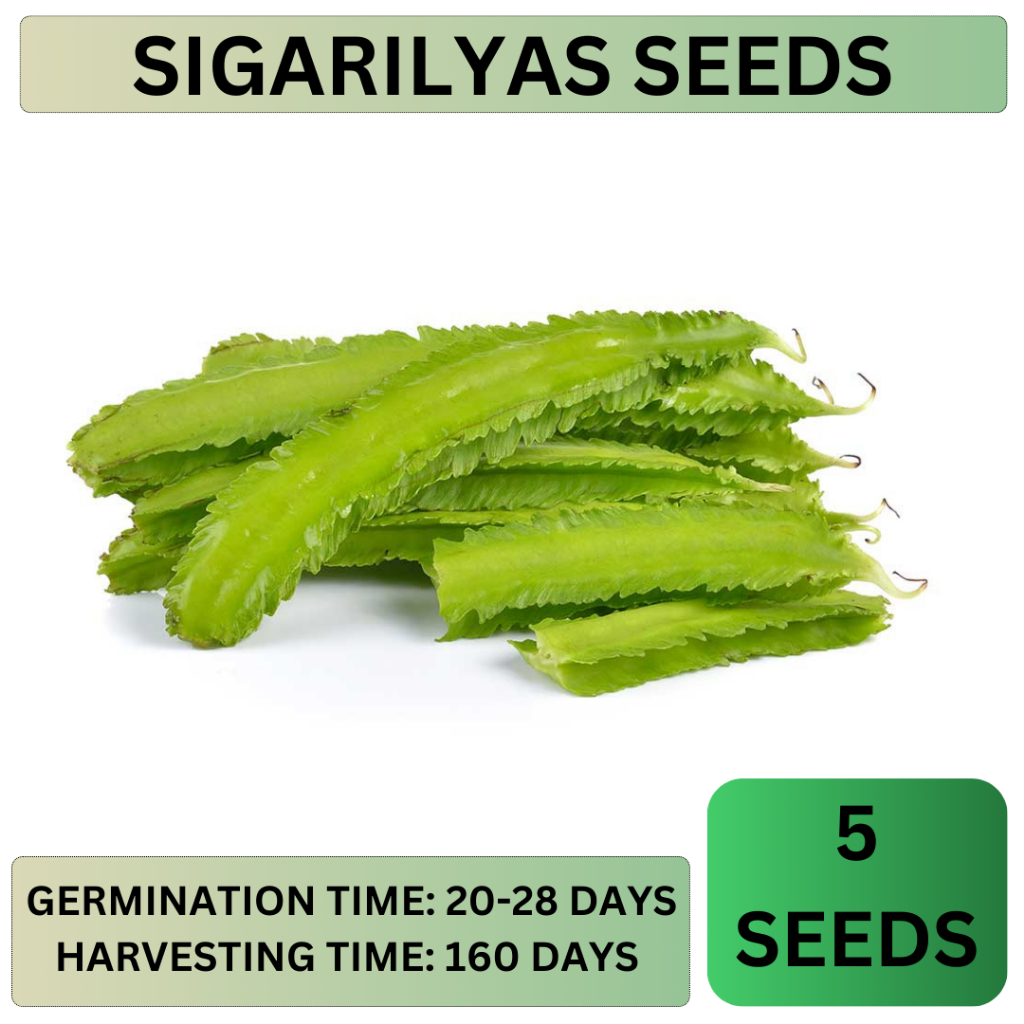 (SET 2) SULIT PACK! VEGETABLE SEEDS! (Pechay Tomato Mustasa Talong ...