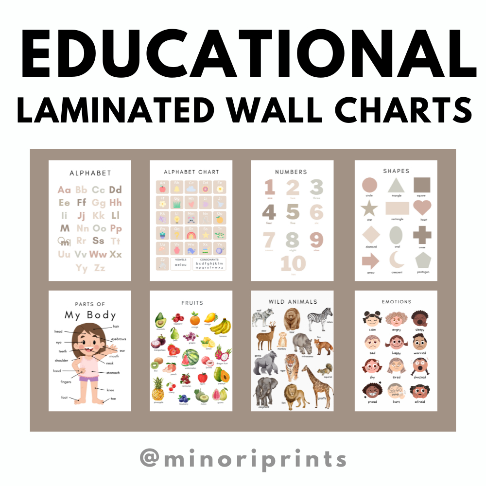 A4 Aesthetic Educational Laminated Charts for Kids and Toddlers ...