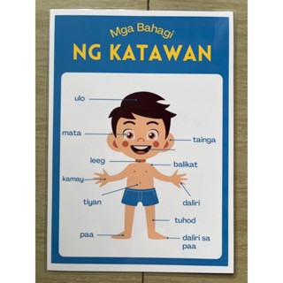TAGALOG Kulay Bahagi ng Katawan Educational learning materials for kids ...
