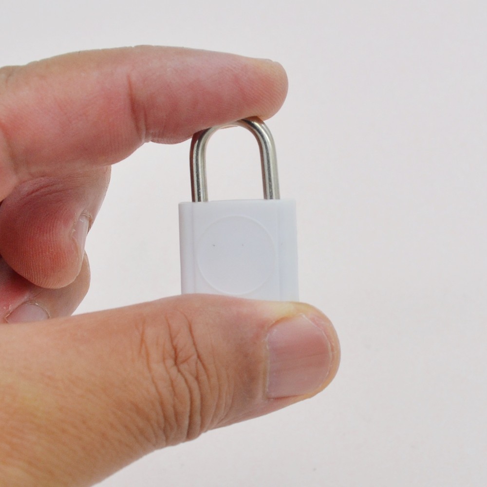 Plastic Mini Lock with 2 Keys for School Bag & Diary & Locker | Shopee ...