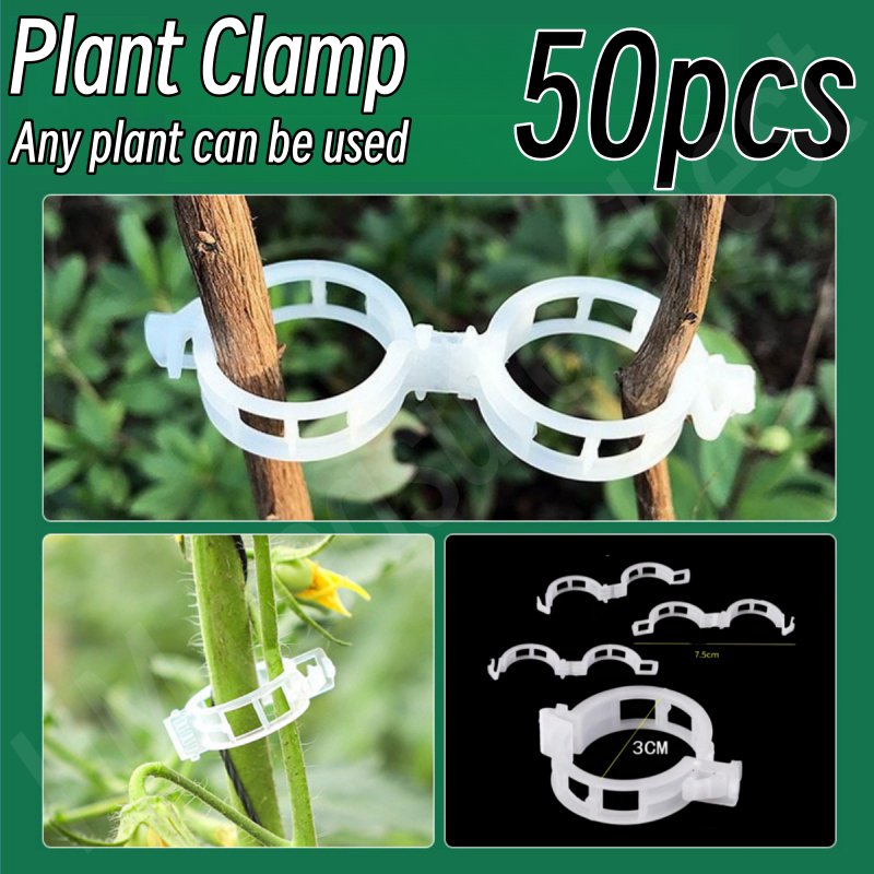 50pcs Plants Vegetable Fastening Clip/Tomato Clips Supports/Reusable ...