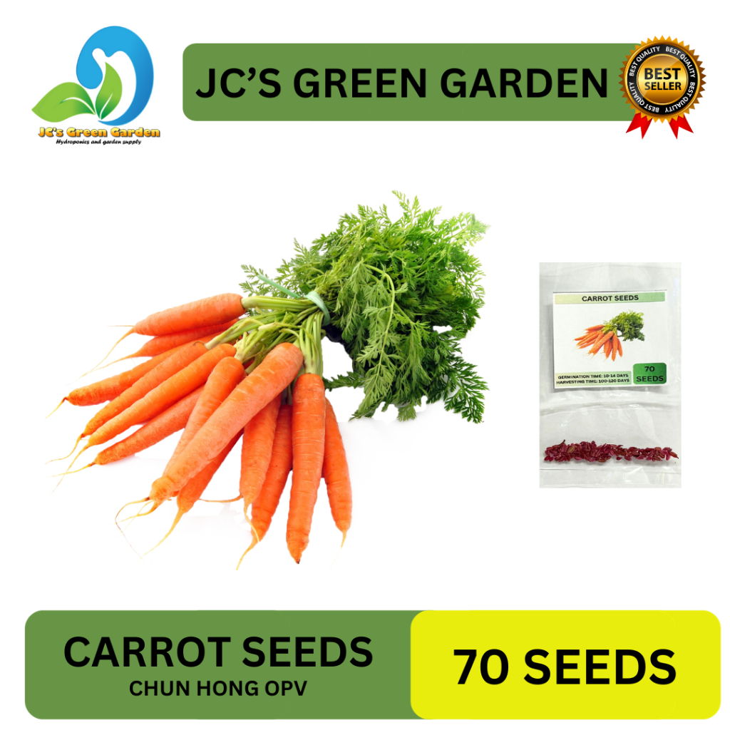 VALUE PACK (70 SEEDS) CARROT SEEDS/CHUN HONG OPV/HIGH YIELDING | Shopee Philippines