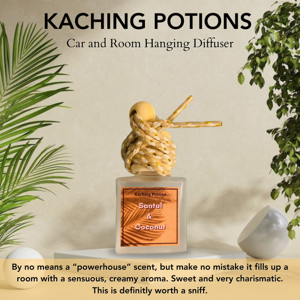 Santal & Coconut Fragrance Hanging Diffuser (Car and Room Freshener ...