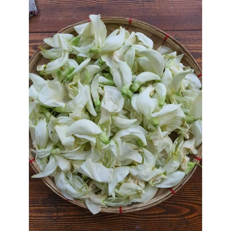 Fresh katuray bulaklak 50PCS Freshly picked Luzon buyers only | Shopee ...