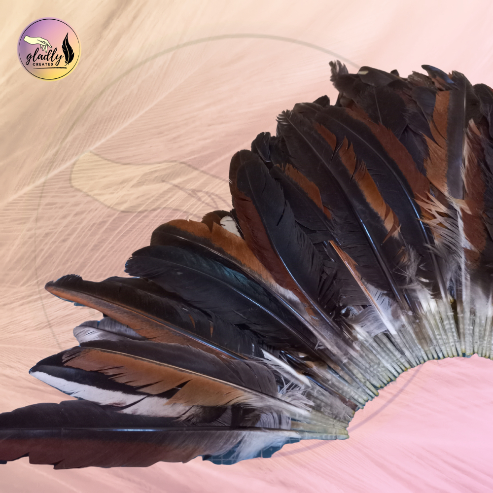 DIY Arts & Crafts Feathers | Pakpak | 12-24cm | Natural Color | Shopee ...
