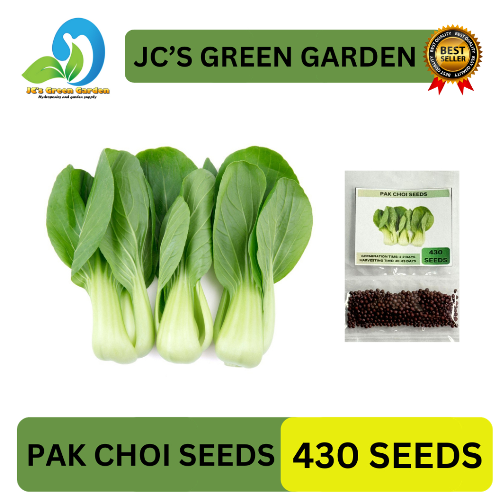 (430 SEEDS) CHINESE PECHAY/PAKCHOI SEEDS/CHOY F1/PAK-CHOY/FOR PLANTING ...