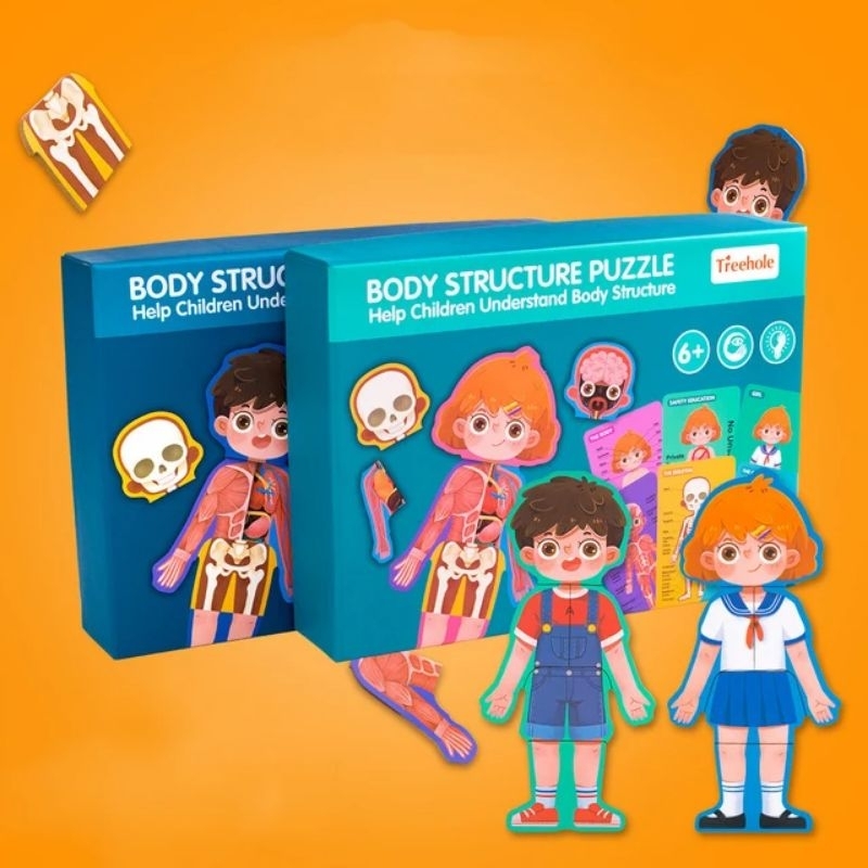 Human Body structure puzzle boy and girl | Shopee Philippines