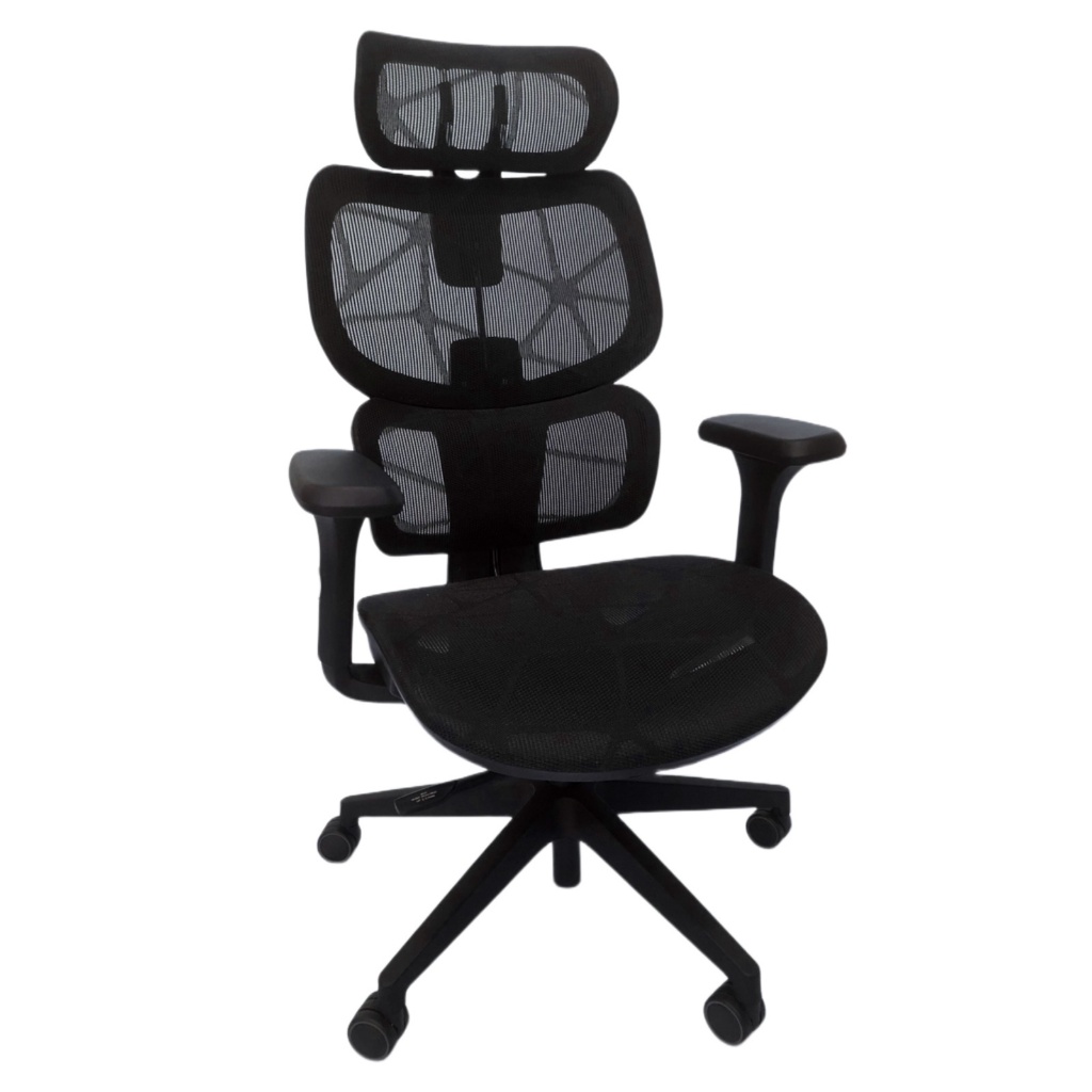 Ergodynamic Human V8.0 Hybrid Korean Mesh Chair with Adjustable ...