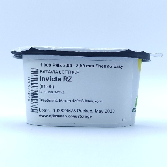RIJK ZWAAN INVICTA RZ BATAVIA LETTUCE SEEDS (1000 PILLS) | Shopee ...