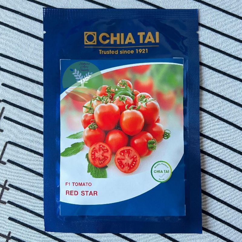 RED STAR F1 TOMATO SEEDS CHIA TAI HYBRID KAMATIS VEGETABLE SEEDS 20g ...