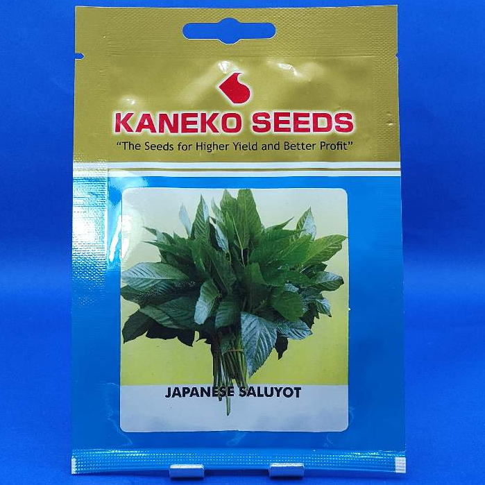 KANEKO SEEDS JAPANESE TYPE SALUYOT SEEDS (1,067 SEEDS) | Shopee Philippines
