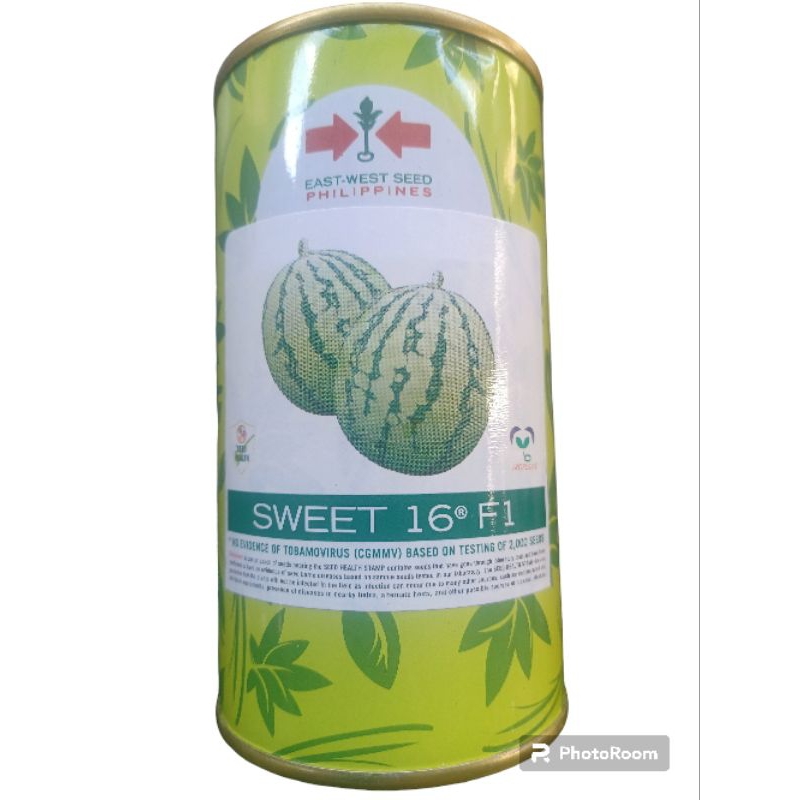 Sweet 16 F1 hybrid watermelon by eastwest seeds | Shopee Philippines