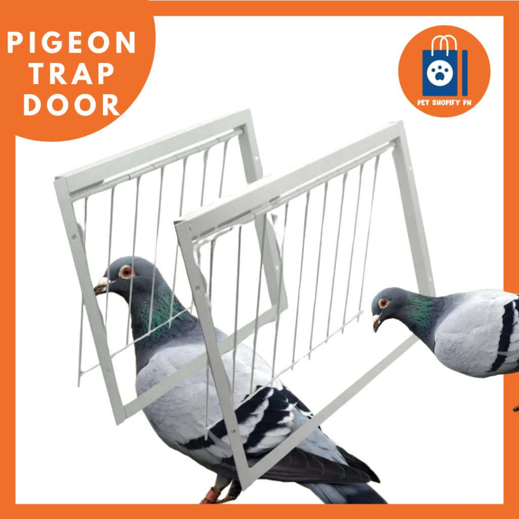 Bird Pigeon Trap Door Stainless Steel Frame Trapping Cage YC-PG836 ...