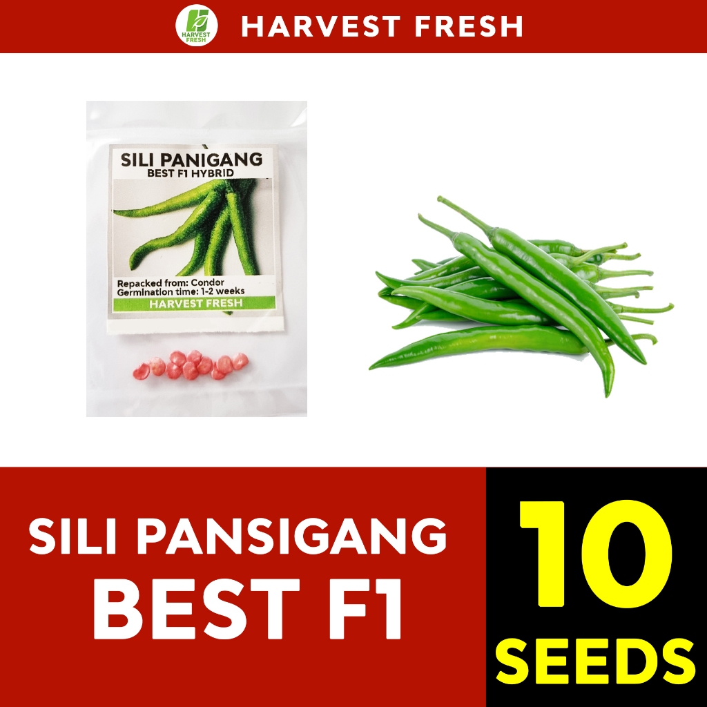 Hot Pepper Seeds for planting Chili Sili Panigang Jalapeno Taiwan ...