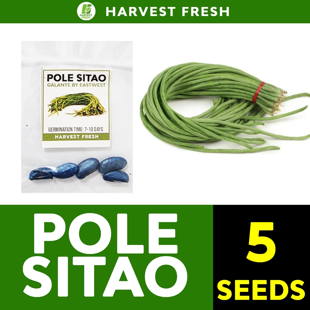 Vegetable Seeds - Ampalaya Upo Okra Sitao Bataw Kalabasa Patola Sitsaro ...