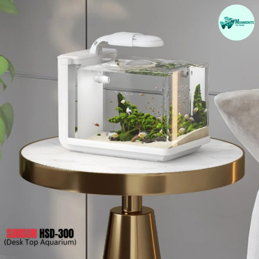 SUNSUN HSD-300 Desk Top Aquarium Small Ecological Table Tank Aquarium ...