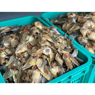 danggit - Best Prices and Online Promos - Jun 2024 | Shopee Philippines