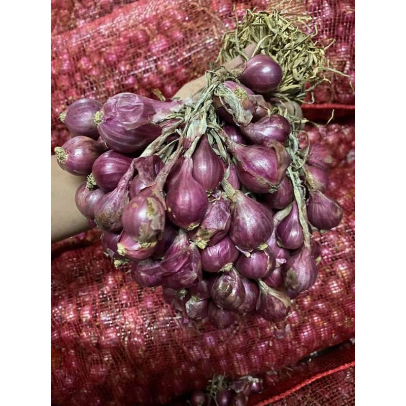 Sibuyas Dried Onion Lasona 1 kilo | Shopee Philippines